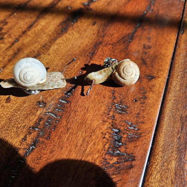 Realistic Hand Sculpted Snail Pins - Etsy