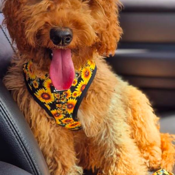 Bluey Bingo Muffin Coco Snickers Rusty Keychain - Etsy