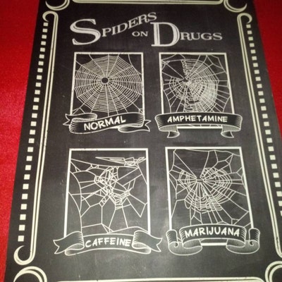 Spider on Drugs Poster - Etsy