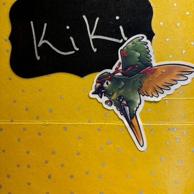 Sun Conure Sticker Sheet Premium Matte Vinyl Sticker Parakeet Parrot ...