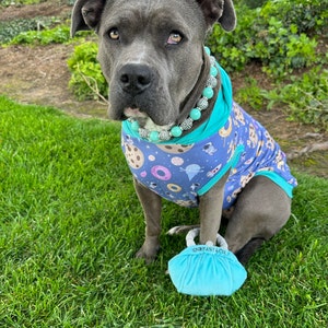 Tipsy Mutt Dog Treat Gift Box Human Grade, Handmade and Decorated Dog ...