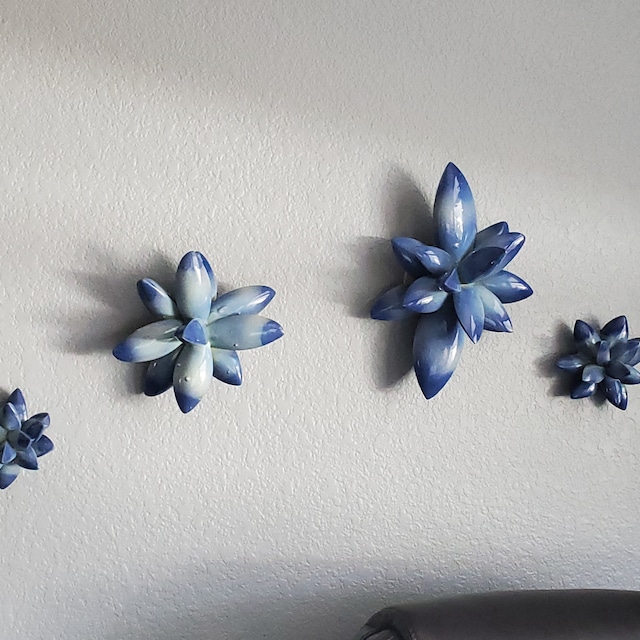 AprilCannonStudio - Etsy