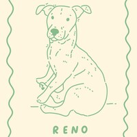 Pink Dnd Character Sheet Girly Dnd Dungeons and Dragons Character ...