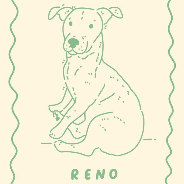 Custom Dog Portrait Custom Badly Drawn Pet Art Personalized Badly Drawn ...