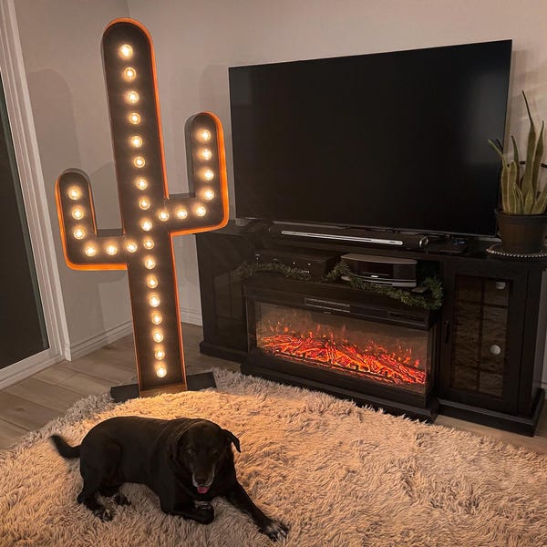 6' Cactus Marquee, Light up Cactus - Etsy