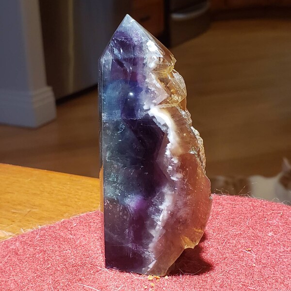 Awesome Jasper T-rex Skull, With the Coolest Patterns! - Etsy