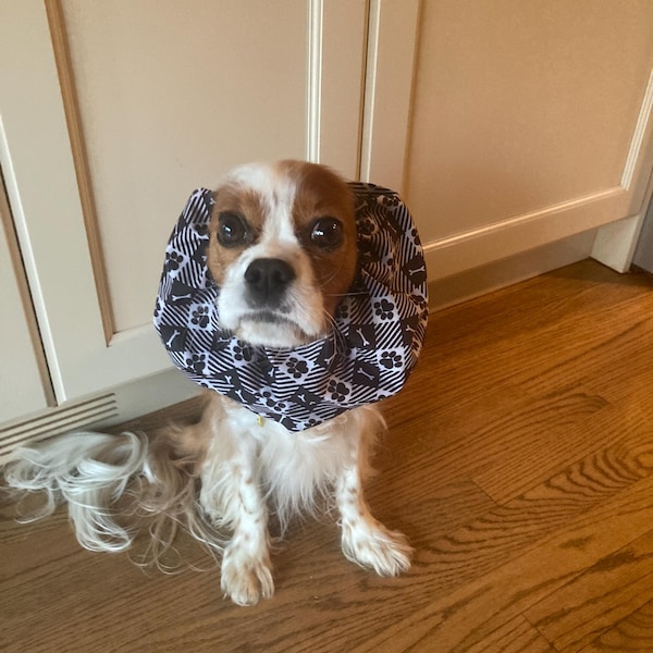 Dog Snood: Long Ear Protector for Cavalier Spaniels and Basset Hounds ...