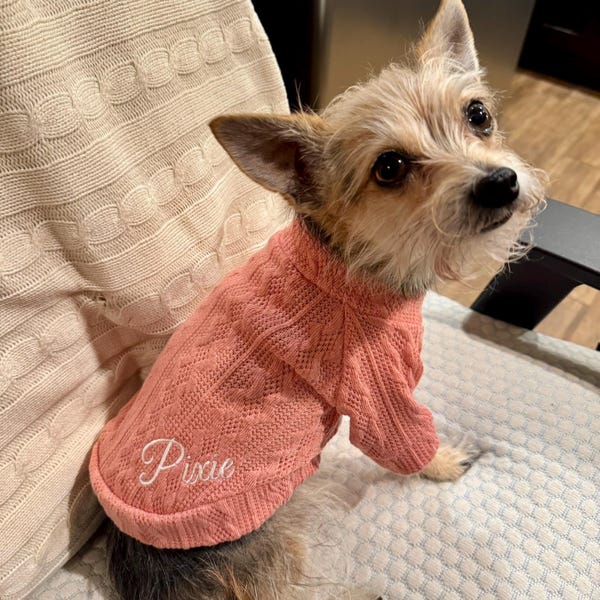 Personalized Dog Sweater Embroidered Puppy Shirt With Pet Name Xs ...