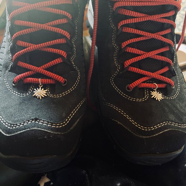 10 Pairs Kidney Earring Wires - Silver Plated - 24mm X 12mm - Kidney ...