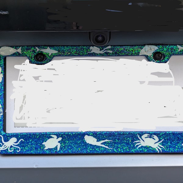 Custom Color Glitter Resin License Plate Frame With Glow in the Dark ...