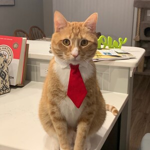Red Chevron Skinny Cat Tie Cat Necktie Cat Necktie Collar - Etsy Canada