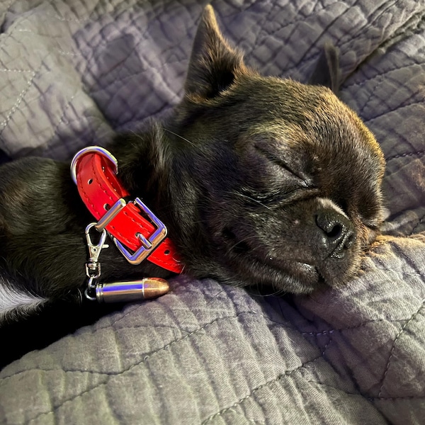 Personalized Bullet Pet Tag, Dog Name Tag, Man's Best Friend, Collar ...