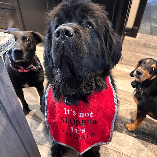 Drool Dog Slobber Bib With 'hey You Doing' Message - Double Protection ...