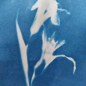 DIY Solar Printing Kit Craft Kit Cyanotype Kit Solar - Etsy