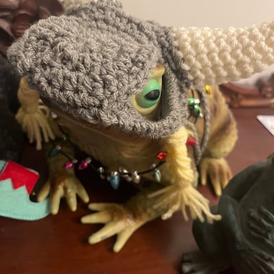 Brunhilde, Vikings, Valkyries, Wagner Opera, Hats for Cats, Pet Hats ...