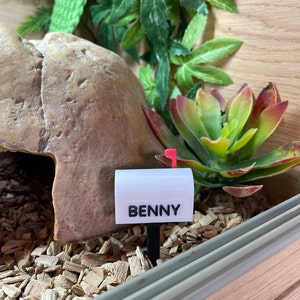 Reptile Climbing Ramp, Bearded Dragon Basking Platform, Rock Wall ...