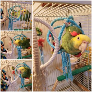 Extra Large Parrot 3 Ring Orbit Swing | Etsy