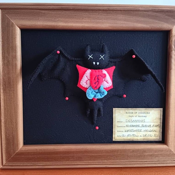 Chiroptera - Felt Anatomy - Biology, Gothic, Creepy, Cute, Halloween ...