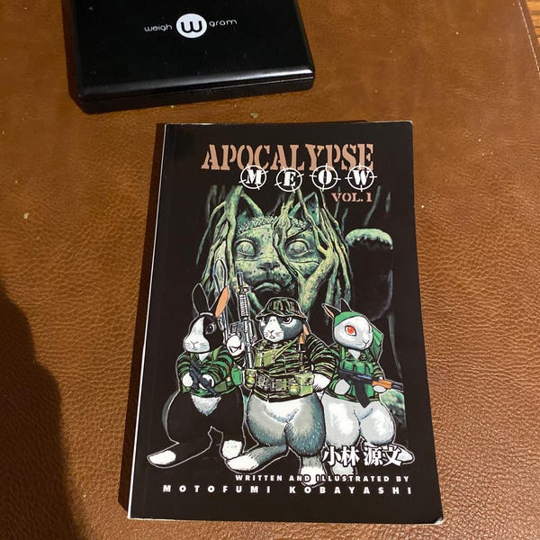 Designing Your Face: an Illustrated Guide to Using Cosmetics by Way ...