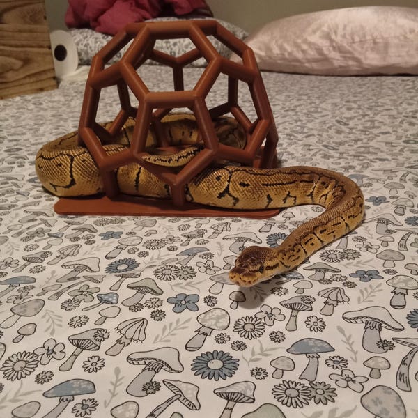 Python Playground STANDARD L Snake Climbing Enrichment , Snake ...