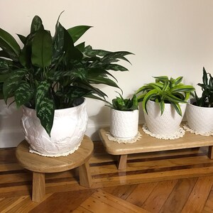 Solid Round Oak Wood Plant Stand Display Stand Mini Stool - Etsy