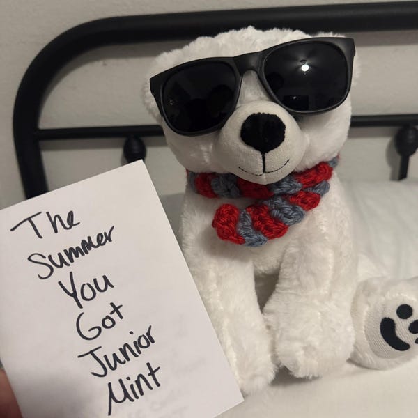 Junior Mint Inspired, the Summer I Turned Pretty, Belly’s Bear, A Gift ...