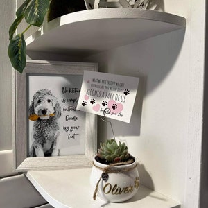 HAPPY MOTHERS DAY. Live Succulent. Succulent Gift Box. Mother's Day ...