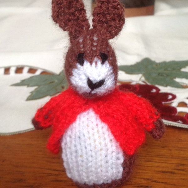 PDF KNITTING PATTERN Rabbit Creme Egg Cover, Easter Bunny Knitting ...