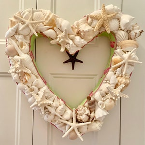 Purple Top Serpent Head Cowrie Seashells 3/4 1' 10 | Etsy