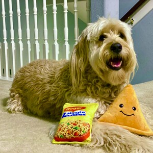 Samosa Plush Chew Toy for Pets - Etsy