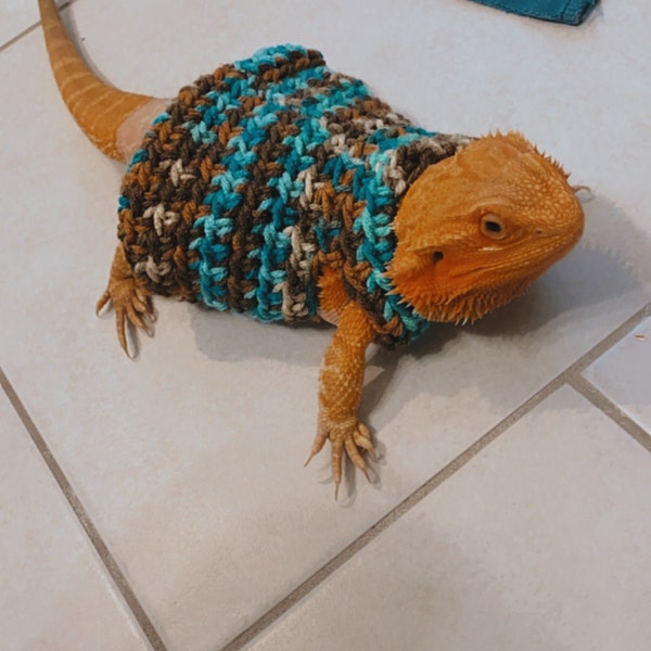 Crocheted Adult Bearded Dragon Sweater | Bearded Dragon Sweater ...