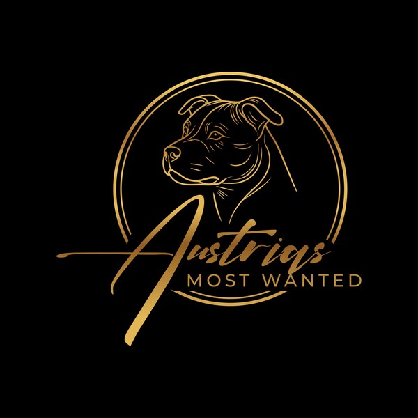 I Will Create Custom Logo Design for Your Business Logo Creation Logo ...