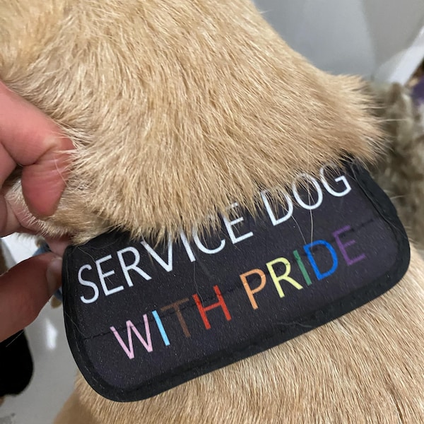 Funny Sayings Tag, Lightweight Tag, Funny Tag, Fun Dog Tag, Aluminum ...