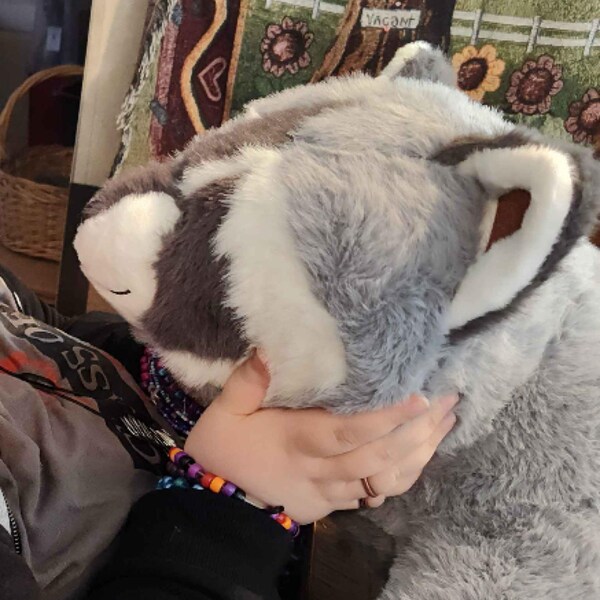 Backpack Raccoon Plushies Stuffed Animal Stuffies Toy Children Pet ...