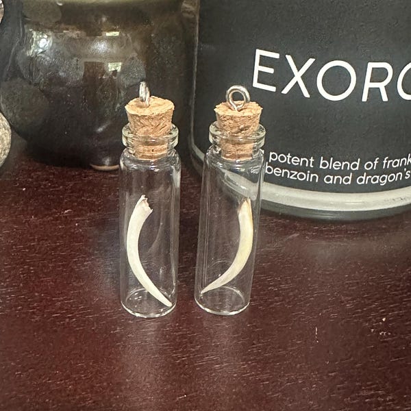 Copperhead Shed Skin - Etsy