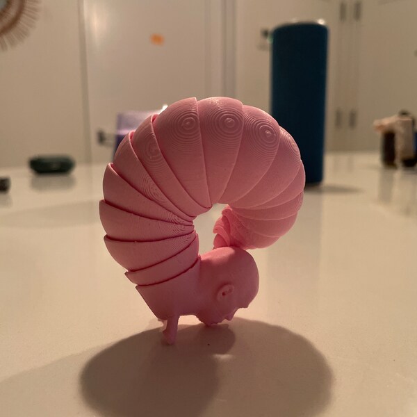 The Rock Fidget Slug - Etsy