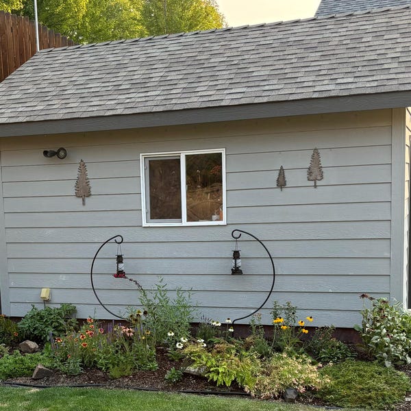 Rustic Evergreen Tree - Etsy