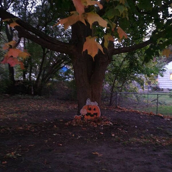 Join the Toy Story Crew Custom Coroplast Backdrops, Toy Story Themed ...