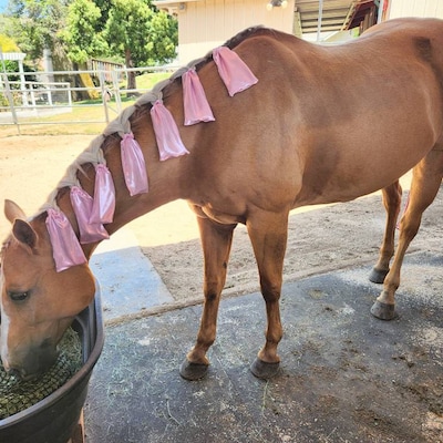 Royal Blue TAIL MANE BAG Set, Horses Tail Mane Bag Set, Mane Bag Set ...