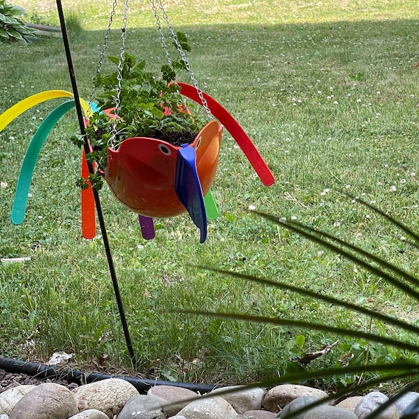 Oliver -- Orange Parrot With Bright Blue Beak and Multi-colored Tail ...