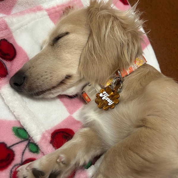 Daisy Pet ID Tag, Flower Dog Tag, Custom Pet Tag - Etsy