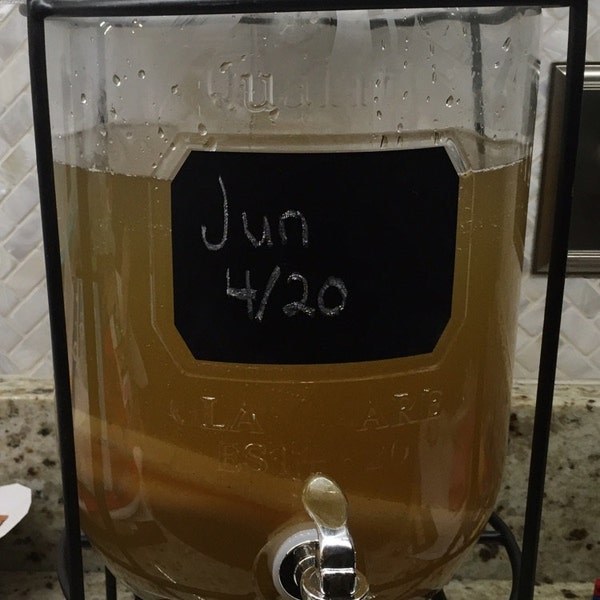 Authentic Honey JUN SCOBY W/starter Fermenting Instructions Champagne ...