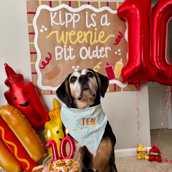 Personalized Dog Bandana Birthday Girl Bandanna for 1st Birthday ...