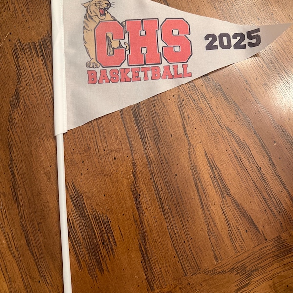 Lots of 5, 25, 100 or 200 Custom Pennants, Pennant Decor, Custom Flags ...