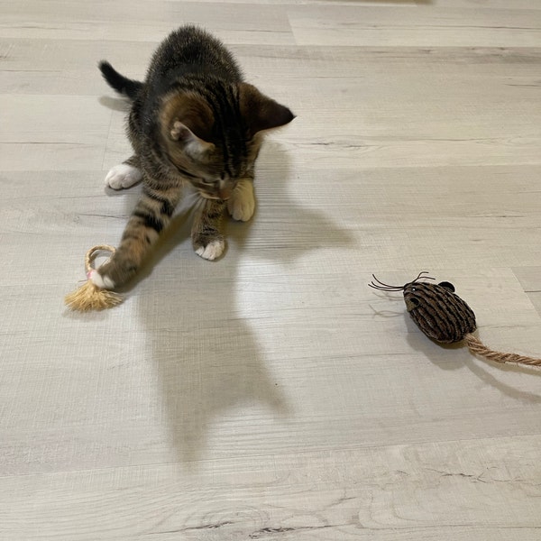 Twist Tie Toy, Natural Cat Toy, Cat Toss Toy, Twistie Toy, Toys for ...