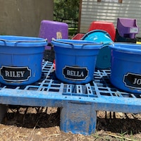 CUSTOM LOGO Decals Horse Bucket Labels Vinyl Name Plate Decals Barn ...