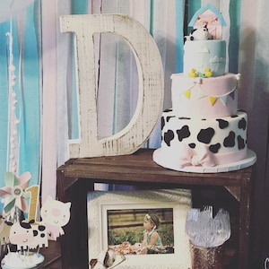 Pink Barnyard Animal Decorationsbarnyard Girl Party Decorationsfarm ...