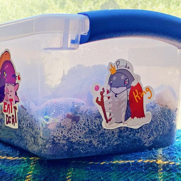 Rubber Ducky Isopod Sticker - Etsy