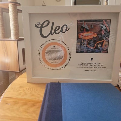 Pet Memorial Paw Print Harness Holder Shadow Box, Pet Loss Frame, Clay ...