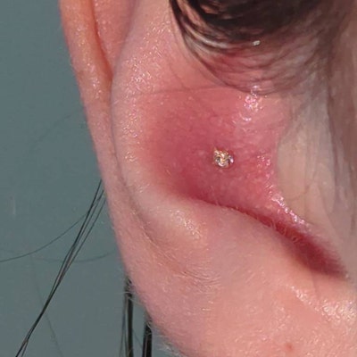 Feather Design Bone Plugs Spiral Gauges Spiral Earrings - Etsy UK